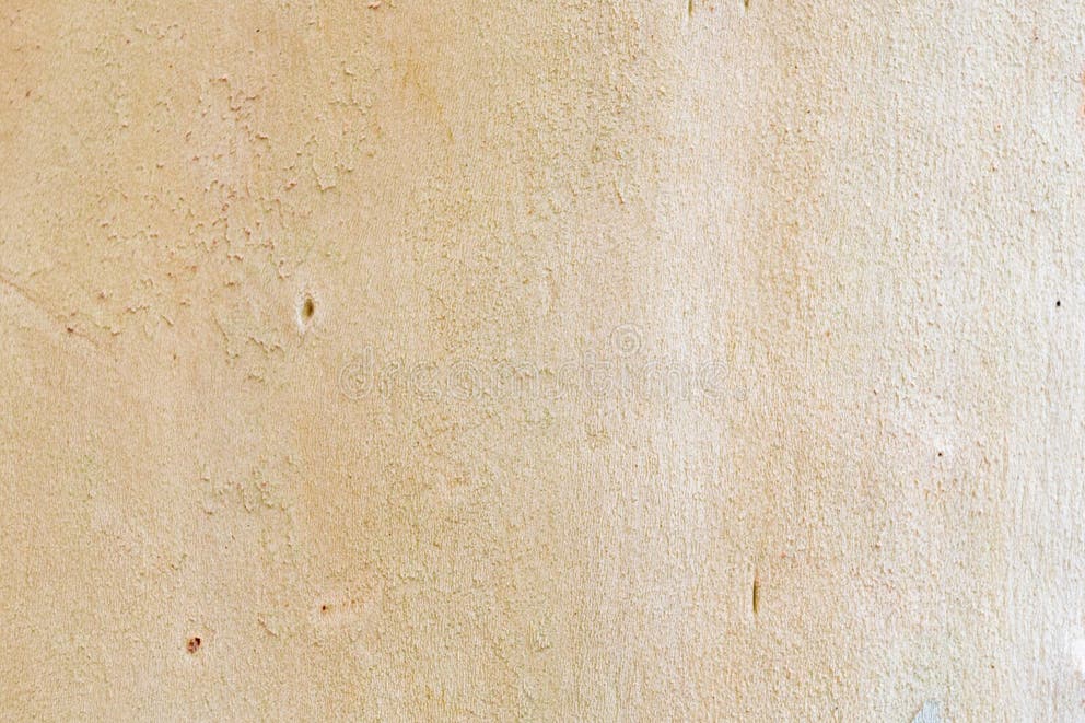 Clean White Tree Bark, Natural Textural Background Stock Image - Image ...