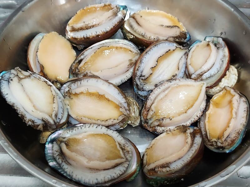 Cleaned Abalone Ready for Cook in Hong Kong Stock Photo - Image of ...