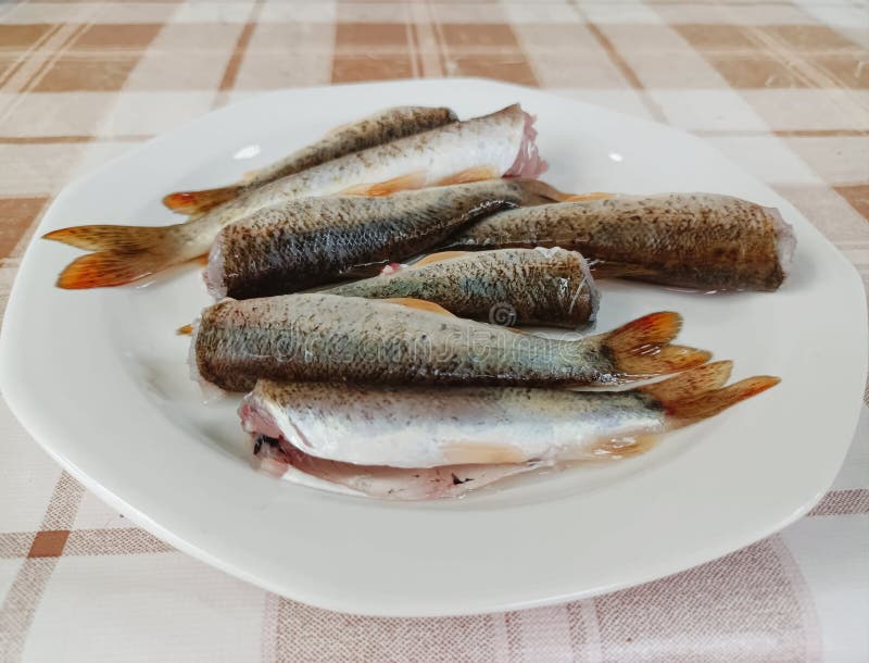 Cleaned fish ready to cook stock image. Image of cooked - 252296599