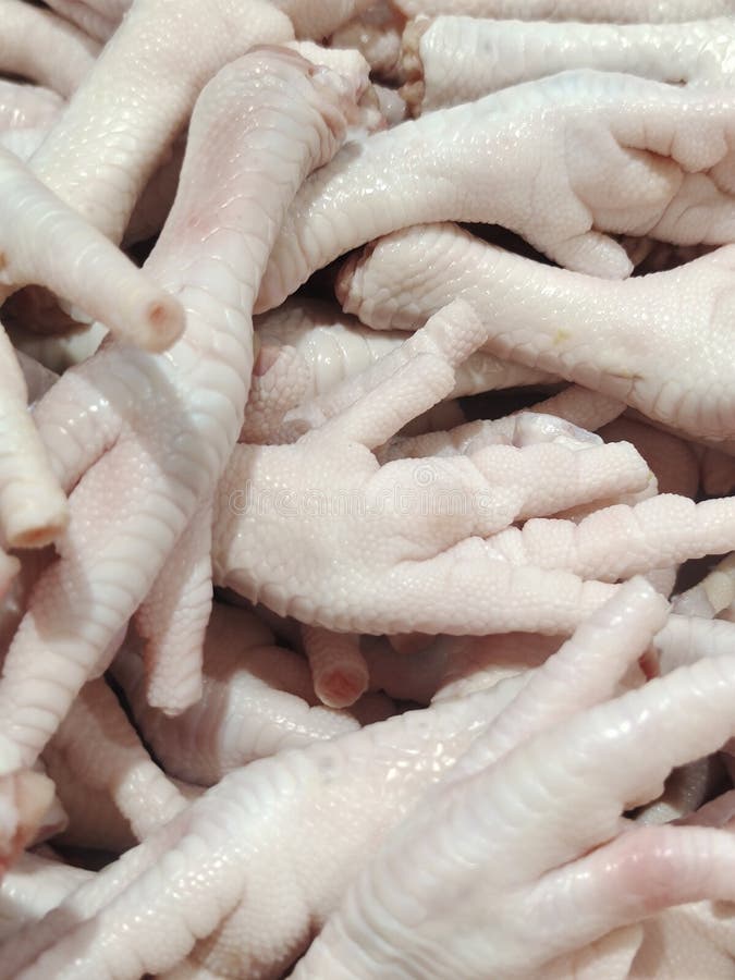 Cleafresh Stock Photos - Free & Royalty-Free Stock Photos from Dreamstime