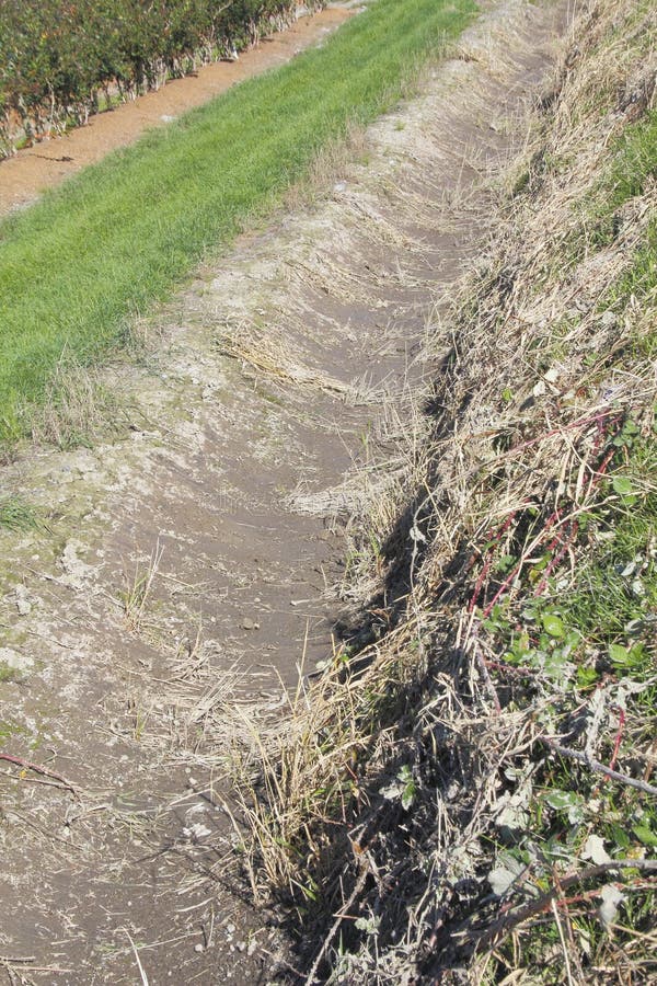 A Shallow Ditch Of Shining Mud Outside In A Field In The Country Stock ...