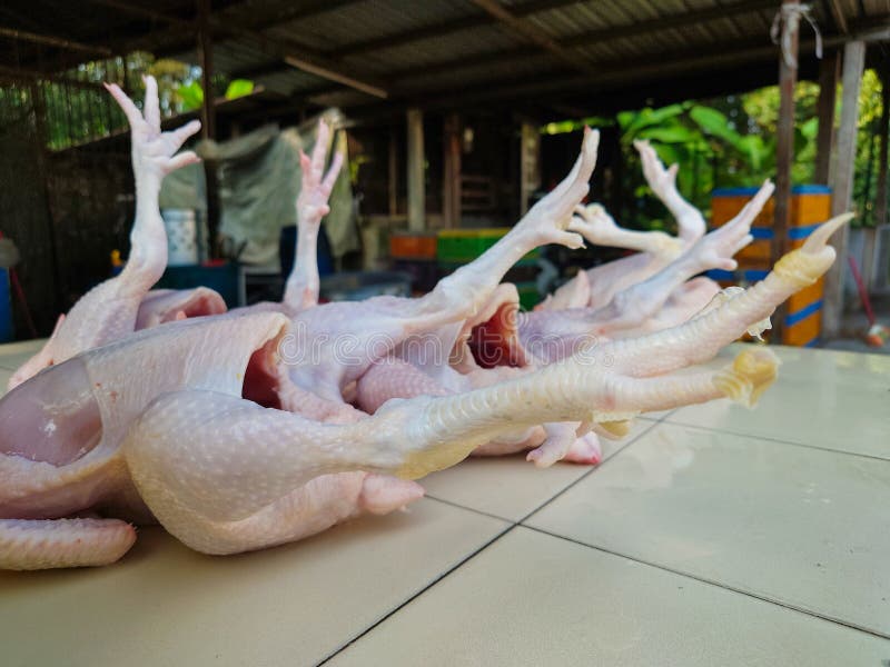 Cleaned Raw Whole Chickens on a Table, Ready for Culinary Use. Food ...