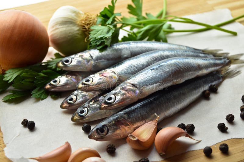 Fresh hamsi fish stock photo. Image of diet, market - 101595010