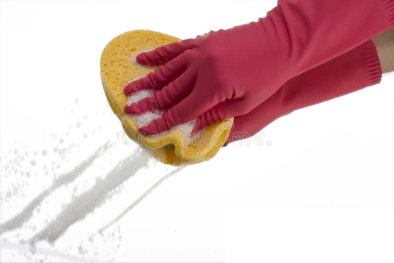Cleaning stock image. Image of hand, pink, housework, hygiene - 6098003