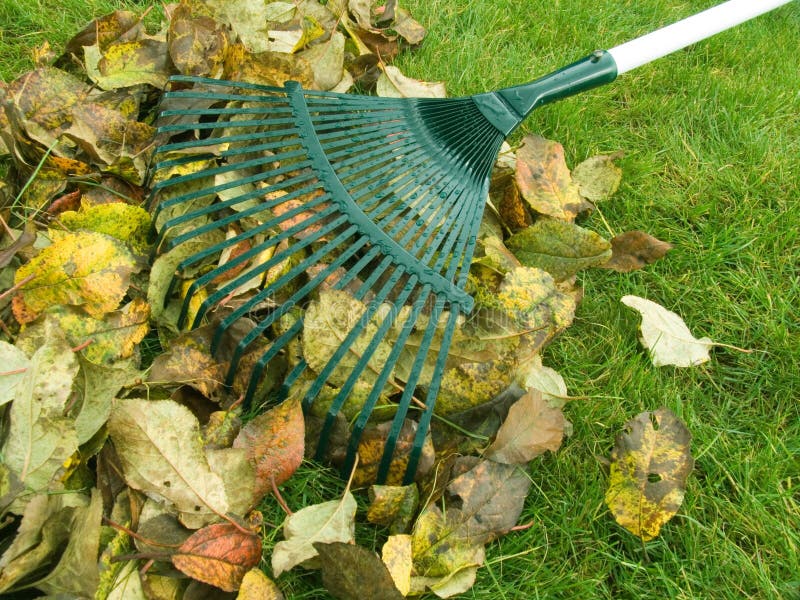 Raking autumn leaves stock image. Image of collection - 16426157