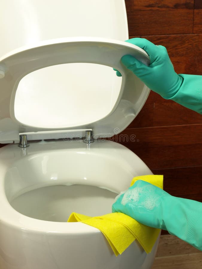 Wiping a toilet seat stock image. Image of housewife - 24982741