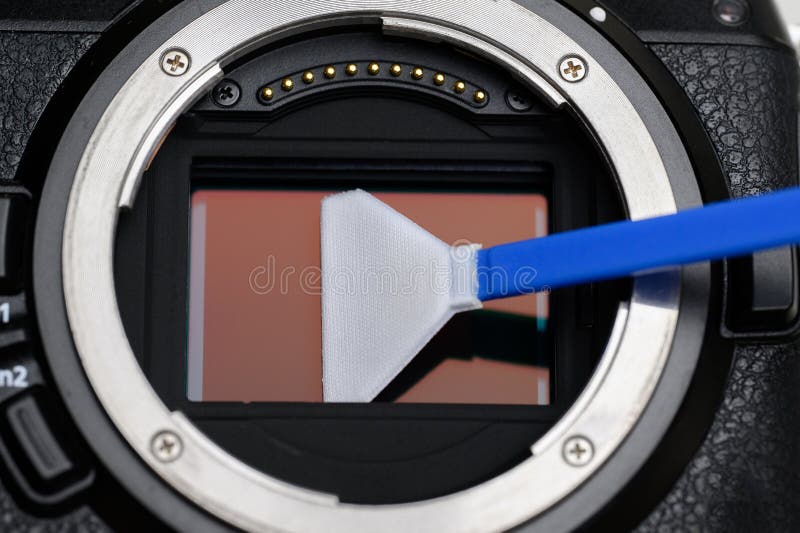 Cleaning the Camera Matrix with a Professional Mop from Dust and Dirt ...