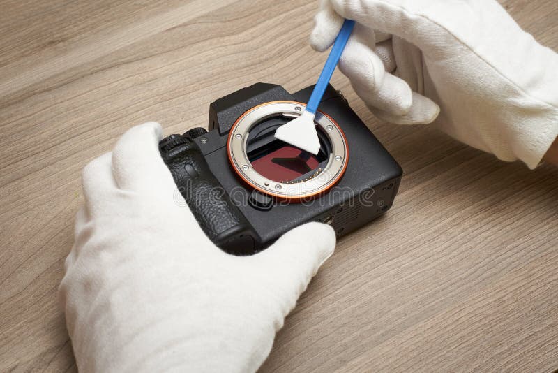 Cleaning camera sensor stock photo. Image of mirrorless - 224916856