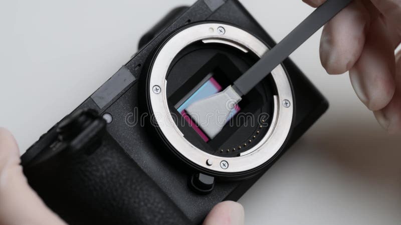 Cleaning the Camera Sensor with Sensor Cleaning Swab from Dust and Dirt ...