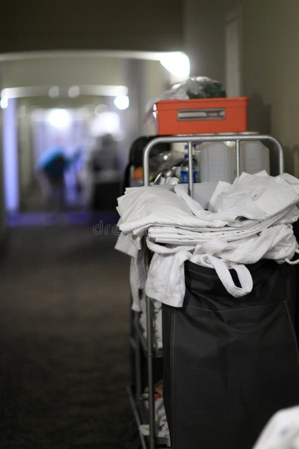 Cleaning cart stock photo. Image of cleanup, hall, cleaning - 46297582