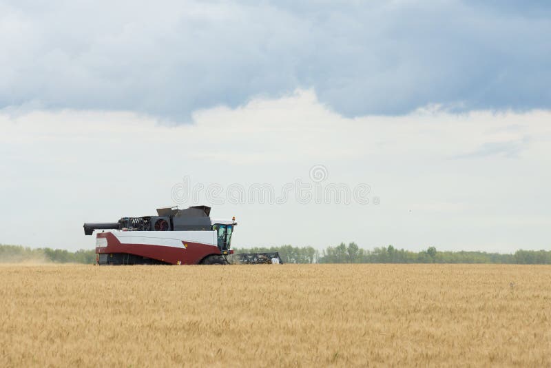 Cleaning Combine in the Field Stock Image - Image of field, plant: 75667255