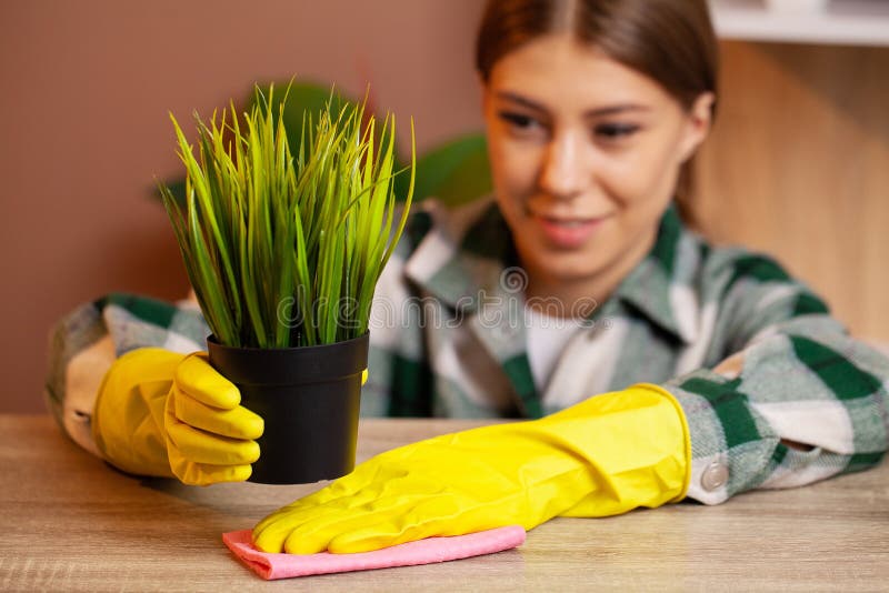 Cleaning Company Worker Cares for a Plant Stock Image - Image of ...