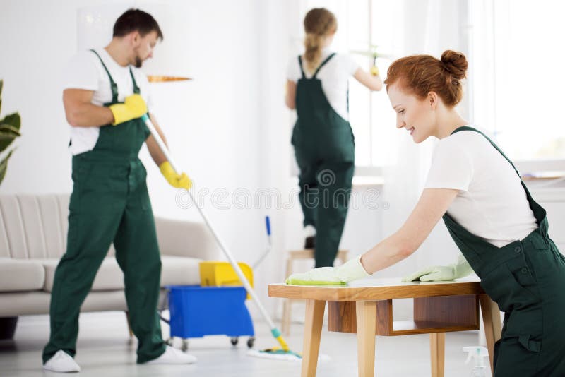 Cleaning Crew Washing Furniture Stock Photo - Image of cleaner, green ...