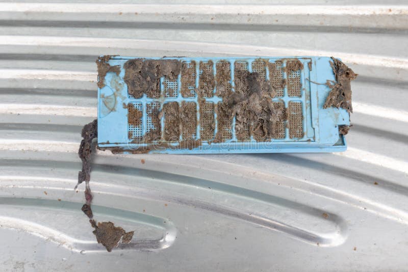 Cleaning the Debris Filter Dirty and Rusty Washing Machine Stock Image ...