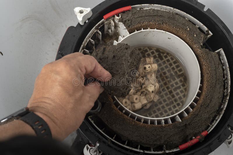 Cleaning Dirty External Aquarium Filter Stock Image - Image of external ...