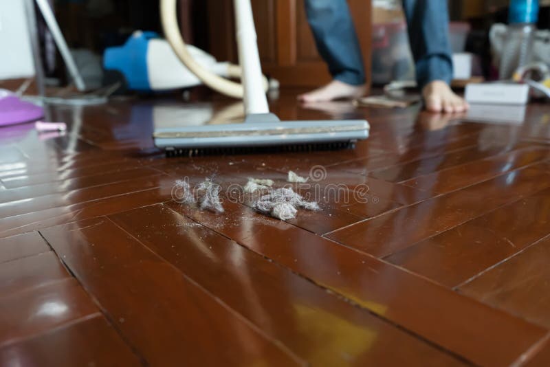 Cleaning Dust on the Floor with Vacuum Cleaner Stock Image - Image of ...