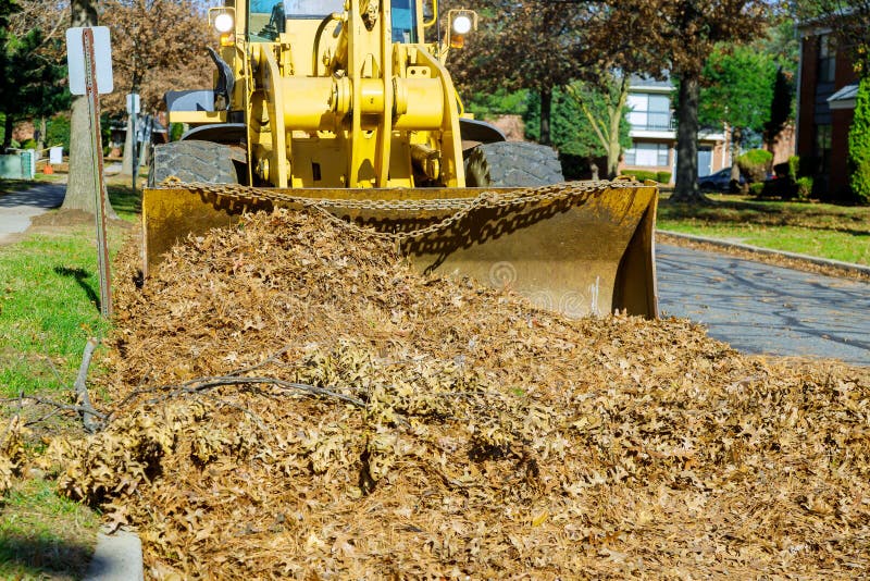 Cleaning in the Fallen Down Fall of Foliage Leaves with Tractor in the ...