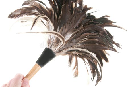 Cleaning with Feather Duster Stock Image - Image of dust, duster: 17934417