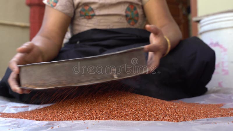 Cleaning Finger Millets Grains Wide Stock Footage - Video of material ...