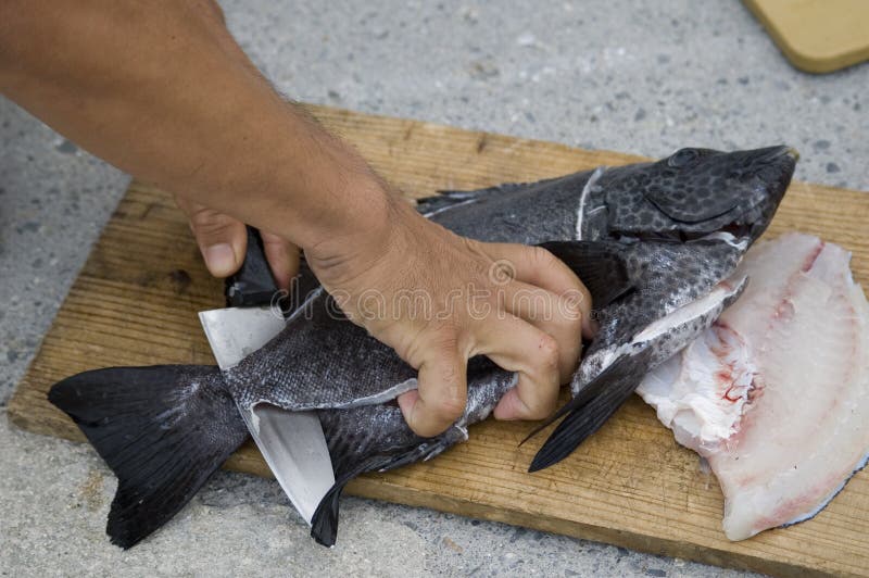 Cleaning fish stock image. Image of fillet, sushi, lunch - 1438175