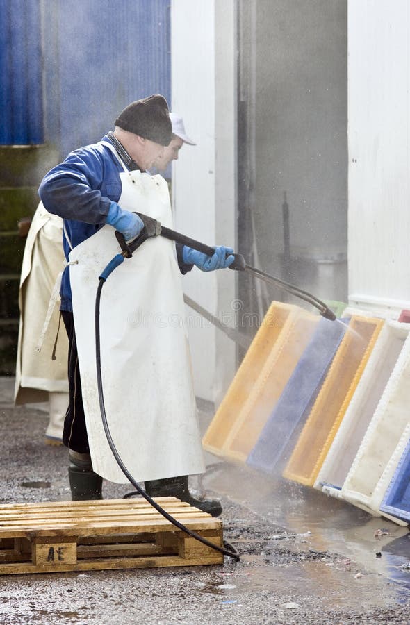 Fish Cleaning Assembly Line Stock Image - Image of workplace ...