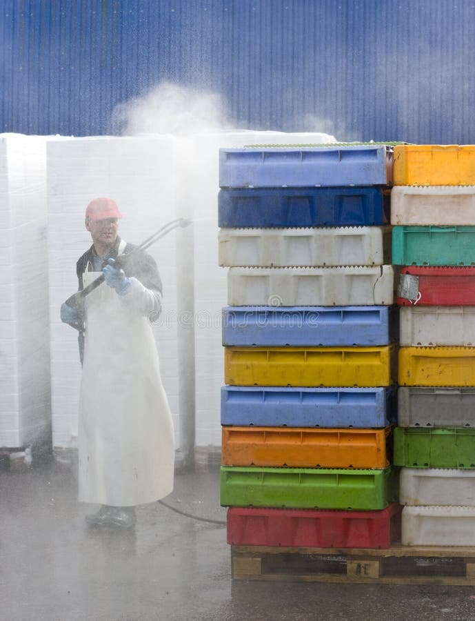 Fish Cleaning Assembly Line Stock Image - Image of workplace ...
