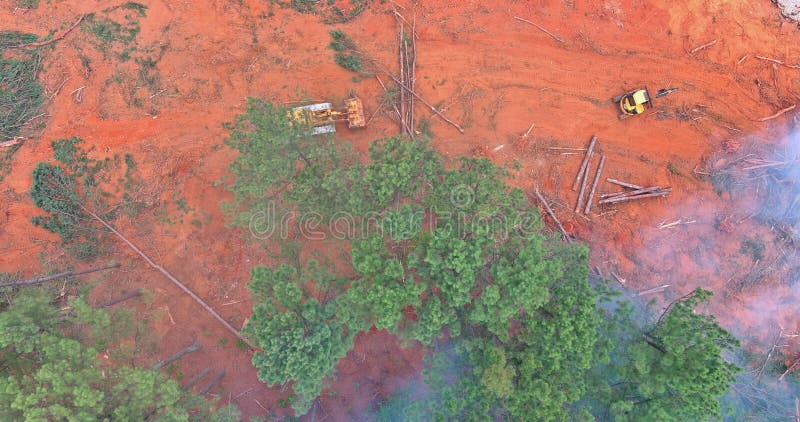 Deforestation Process Land Clearing for Construction Cut Down Forest ...