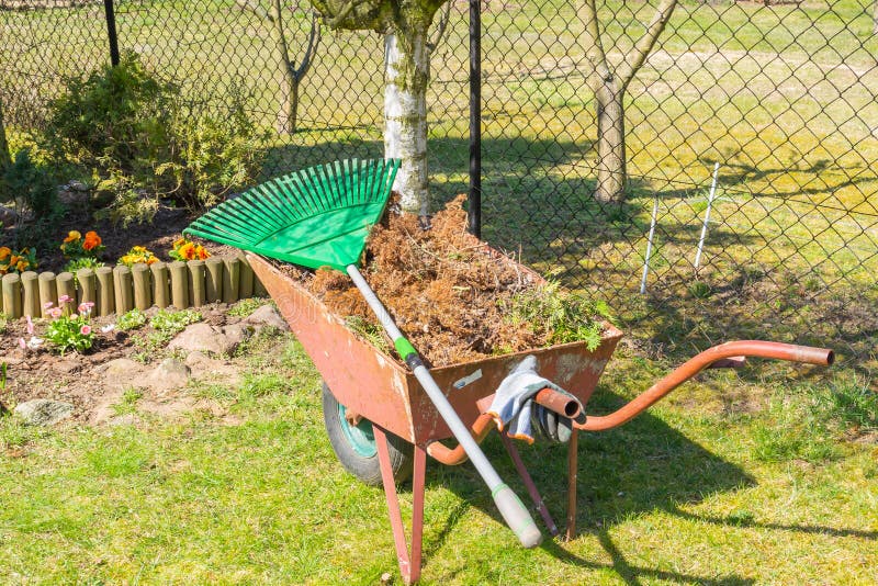 Spring Cleaning in the Garden. Stock Photo - Image of leaves, tree ...