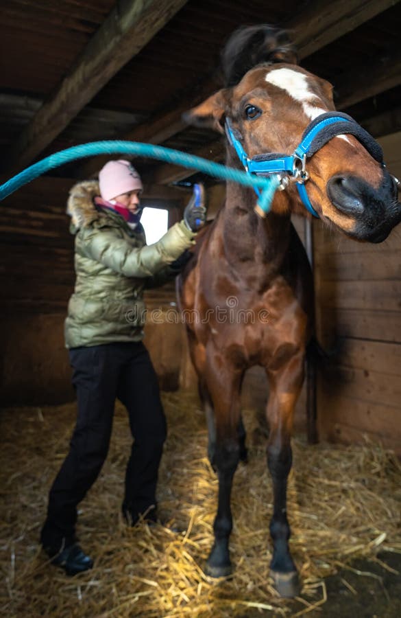 Barn Cleaning Tools Stock Photos - Free & Royalty-Free Stock Photos ...