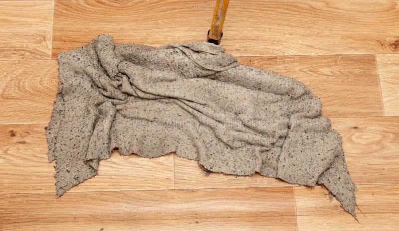 Cleaning a House with a Rag on a Mop Stock Photo - Image of parquet ...