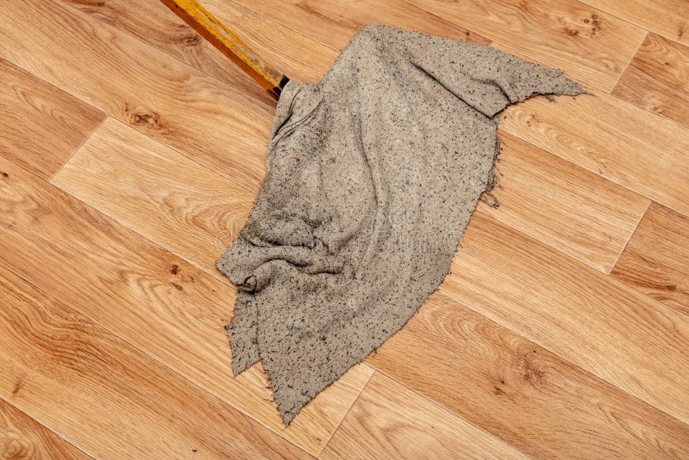 Cleaning a House with a Rag on a Mop Stock Image - Image of cleaning ...