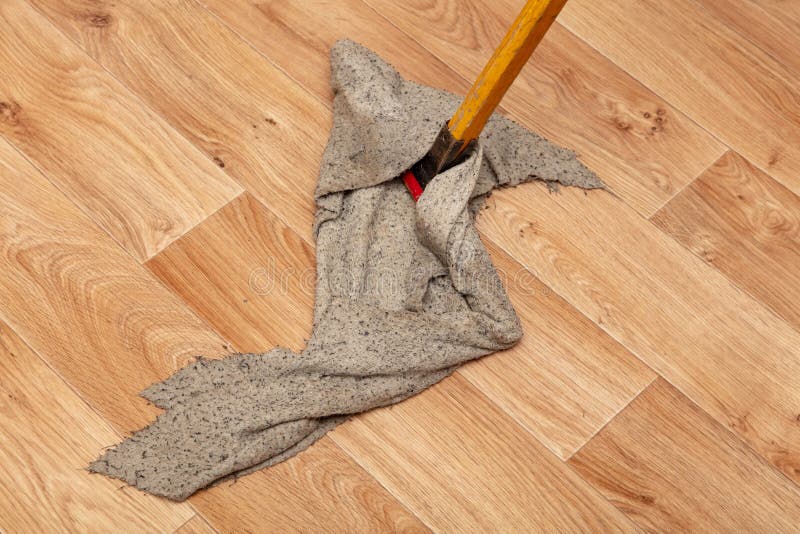 Cleaning a House with a Rag on a Mop Stock Photo - Image of linoleum ...