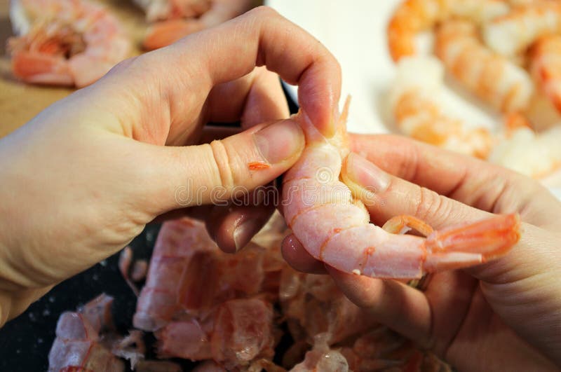 Cleaning Large Argentine Shrimp Hands Stock Image - Image of background ...