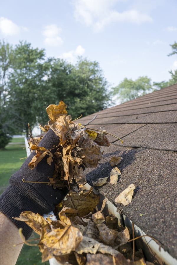 Fall Cleanup - Leaves In Gutter Stock Photo - Image of autumn, cleanup ... Fall Cleanup - Leaves In Gutter Stock Photo - Image of autumn, cleanup ...