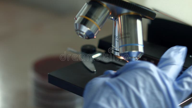 Cleaning Microscope in Microbiology Lab Stock Footage - Video of ...
