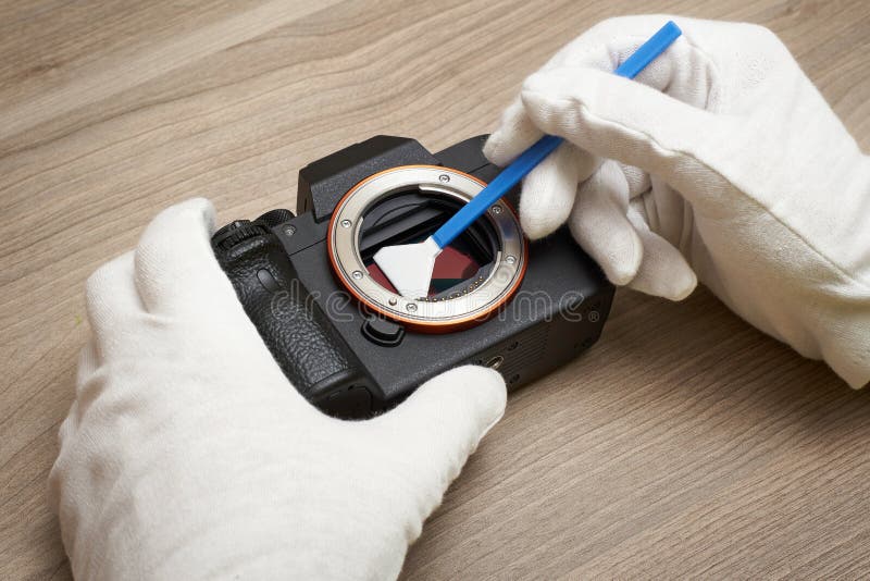 Cleaning camera sensor stock photo. Image of camera - 224916918