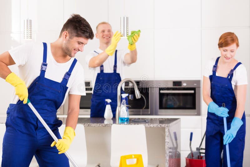 Cleaning of modern kitchen stock image. Image of physical - 86608405