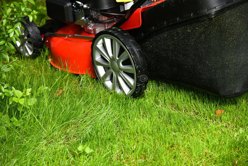 Cleaning and Mowing Lawn Green Grass in the Yard with a Home Lawn Mower ...