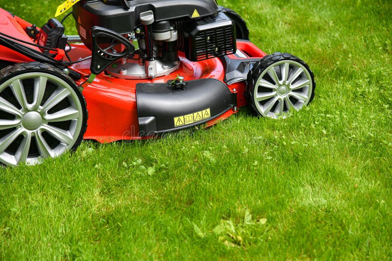 Cleaning and Mowing Lawn Green Grass in the Yard with a Home Lawn Mower ...