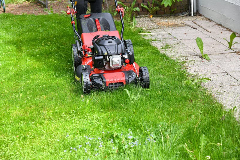 Cleaning and Mowing Lawn Green Grass in the Yard with a Home Lawn Mower ...