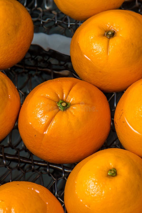 The Cleaning Process of Oranges Stock Photo - Image of juice, lifes ...