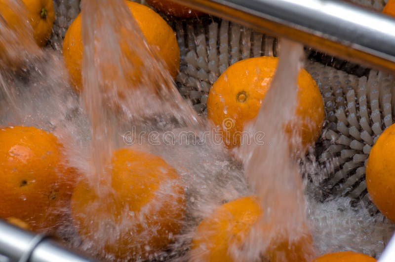 The Cleaning Process of Oranges Stock Photo - Image of food ...