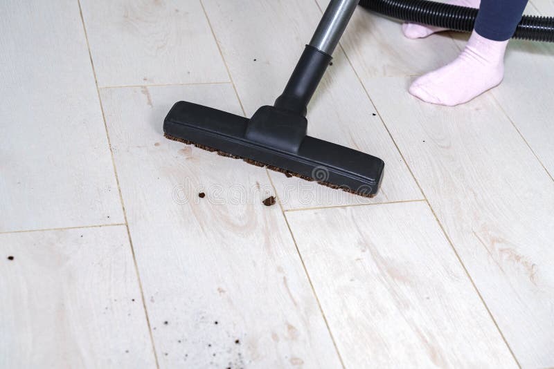 Cleaning Process with a Vacuum Cleaner Close-up Stock Image - Image of ...