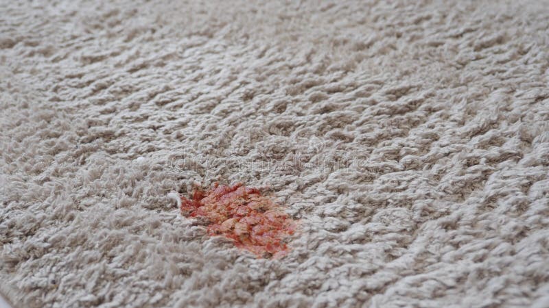 Cleaning a Red Stain from a Carpet with Tissue Stock Video - Video of ...