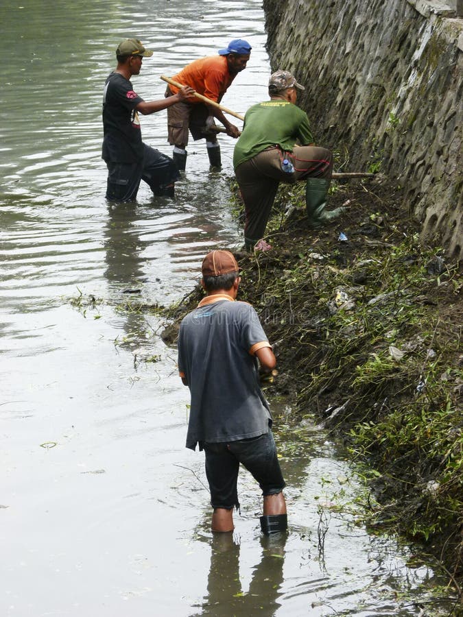 Cleaning the river editorial photography. Image of tree - 78321587