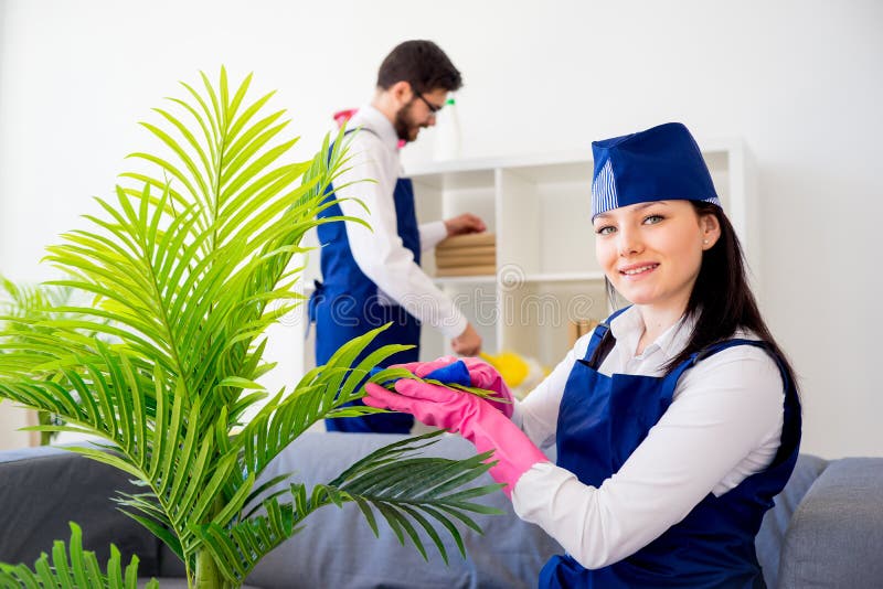 Cleaning service team stock image. Image of female, housekeeping - 96319167
