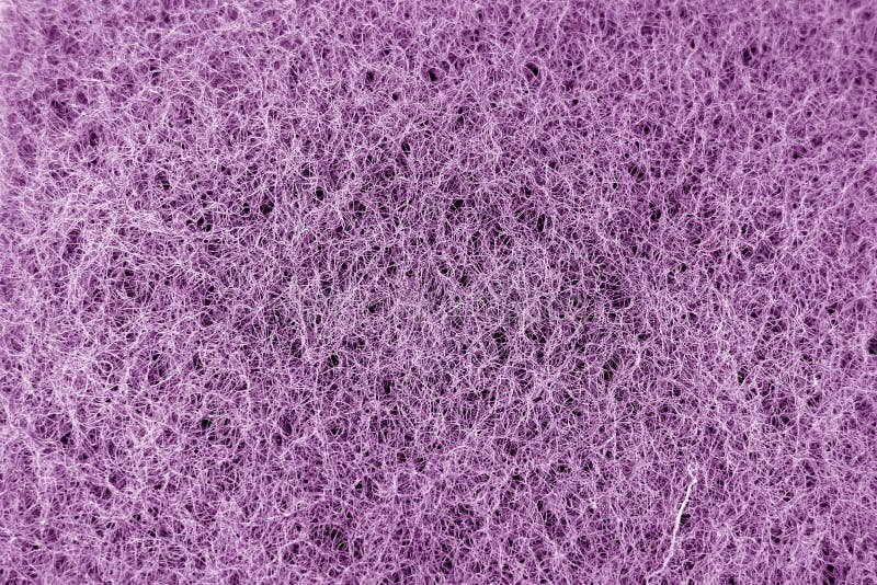 232 Porous Texture Sponge Purple Stock Photos - Free & Royalty-Free ...