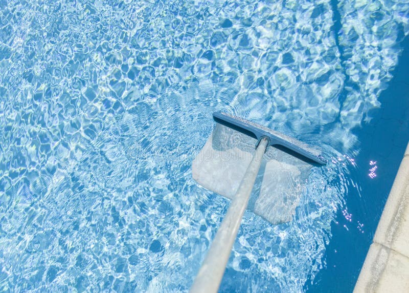 Cleaning Surface of Pool with Scoop Net Stock Photo - Image of cane ...