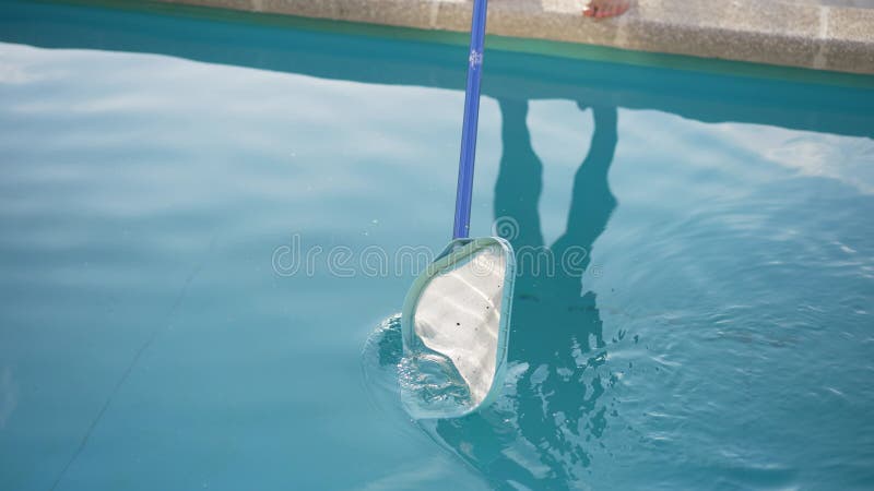 Cleaning a Swimming Pool with a Mesh Skimmer Stock Video - Video of ...