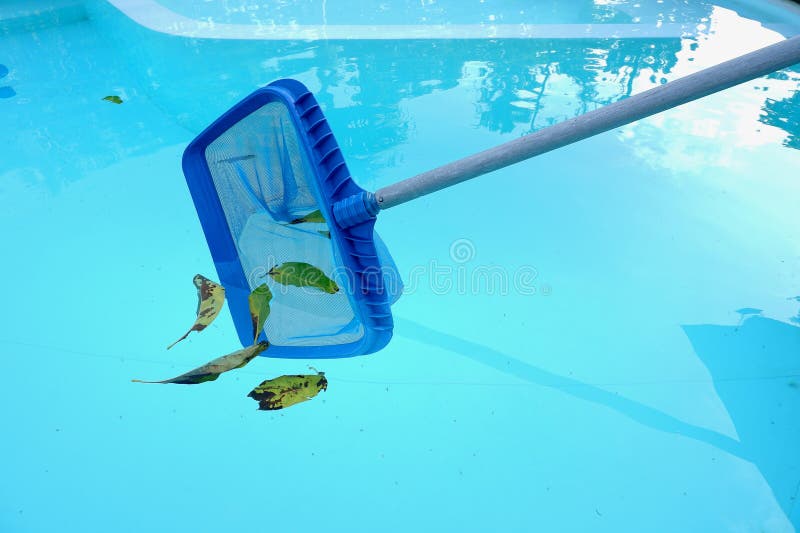 Cleaning Swimming Pool with Scoop Net , Pool Water Maintenance Stock ...